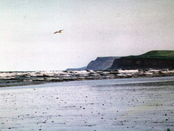 vilaglex - Kislexikon